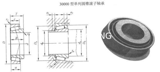 PROVIDE 30205-30222,30305-30320,30615,30616,31305-30319,32006-3202432205-30222,32305-3230932906-32916,33016 bearing