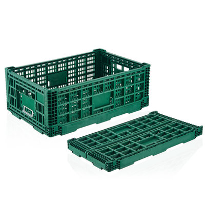 Eco-Friendly Cheap Plastic 12 Bottles Beer Crate for Sale supplier