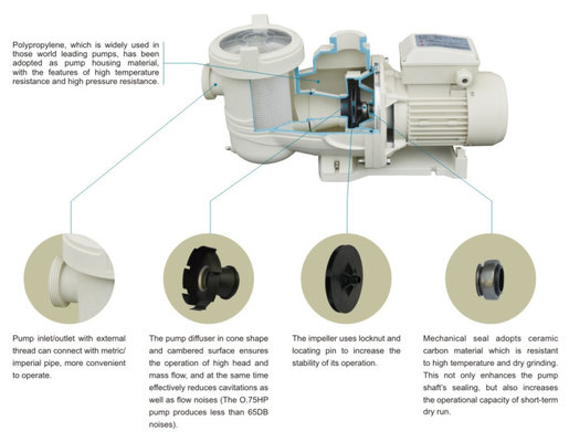 Hot sales pool pump