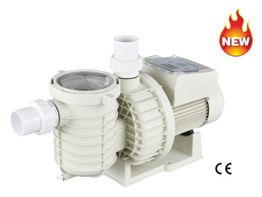 Swimming pool pump in good performance