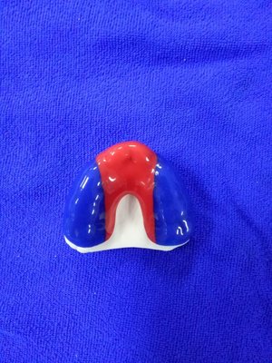 Protective Sports Mouth Guard For Athletes , Custom Design Mouthguards
