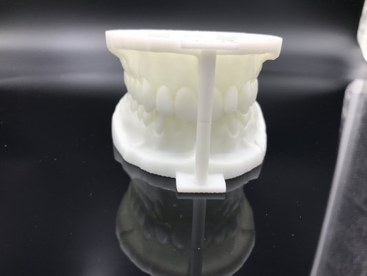 White Digital Printing 3D Dental Model , Crown And Bridge Teeth 3D Model