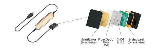 Dental Digital Instraoral Xray Sensor X Ray Sensor