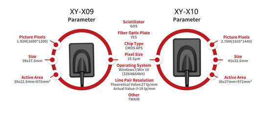 Dental Digital Instraoral Xray Sensor X Ray Sensor