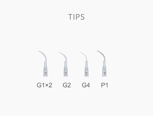 Woodpecker Ultrasonic Piezo Built-in Scaler N2 LED detachable scaler