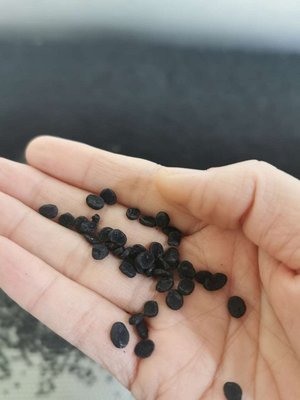 Moisture Absorbing Desiccant Masterbatch