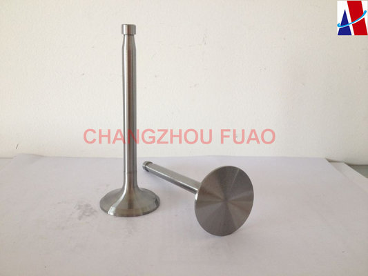 Diesel Engine Parts Intake Valve and Exhaust Valve For Different Model Engine