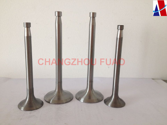 Diesel Engine Parts Intake Valve and Exhaust Valve For Different Model Engine