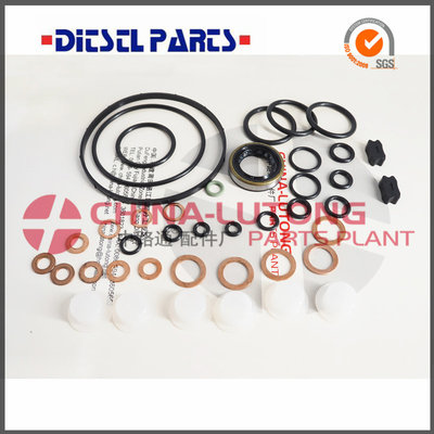 Cav Diesel Injection Pump Repair  096010-0010 800601 For Diesel Engine Rebuild Kits