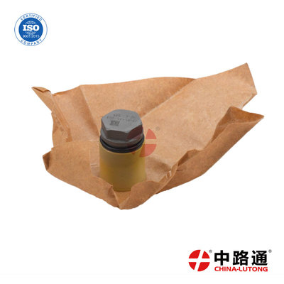 Hydraulic Fuel Rail Pressure Relief Limiter Valve 1110010008 pressure limiting valve common rail