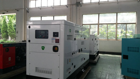 Home Natural Gas Emergency Generator / Gas Engine Generator