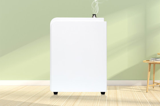 220 V Fresh Air Unit Grafting Type Scent Diffuser Machine For Car Showroom