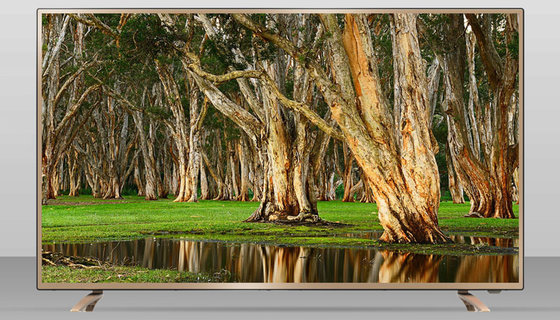 OSD Language DLED TV Full HD 1080p 42 Inch Wide Power Input 100V - 240V