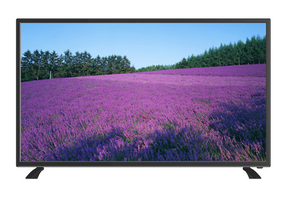 Digital UHD 48" 4K LED TV Dual Tuner OSD Language 100V - 240V AC