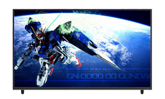 Living Room FHD DVB S LED TV Direct Lit 55" 1920 x 1080 USB PVR Record