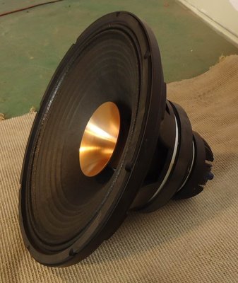 BI - equipo sano amped del refuerzo, altavoces de audio del PA para el gimnasio