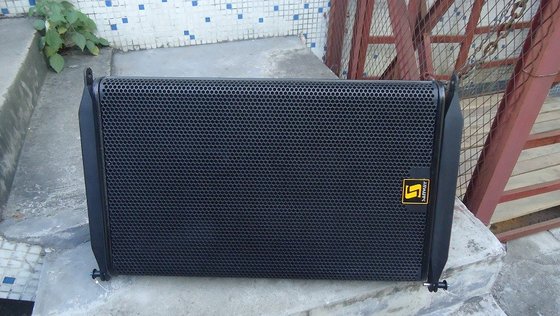 Übertragen Sie leichten Active Power-Sprecher/1000 Watt angetriebene DJ-Sprecher-