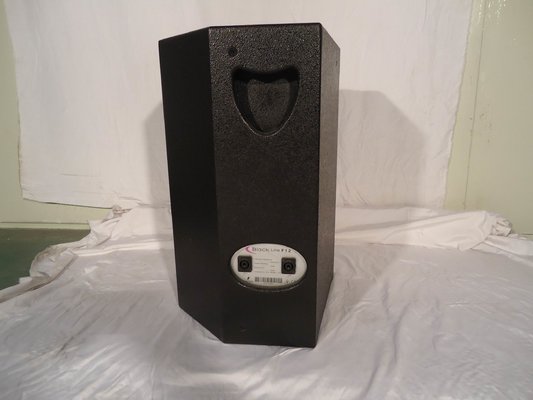 PS12 sondern 12 DB-SPL des Zoll soliden Verstärkungssystems 100 mit Effektivwert 400 Watt aus