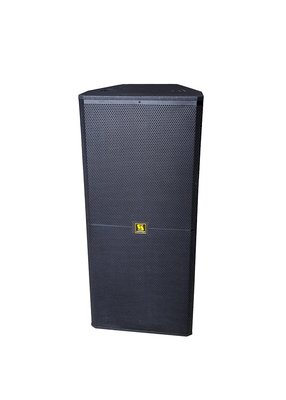 Leichte 1200W Berufsaudiosprecher 99dB SPL Liveauftritt-Sprecher