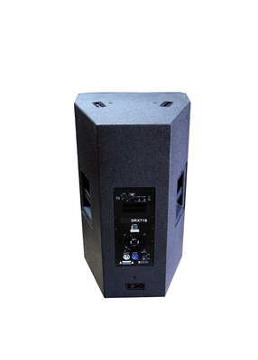 1200 vatios de 94dB viven altavoz sano del PA de Protable de los altavoces con solo 15" conductor del Lf