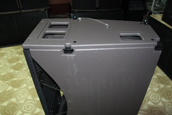 Sondern Sie 12" 600 Watt der soliden lebhaftsprecher-, große Hall-Liveauftritt-Sprecher aus