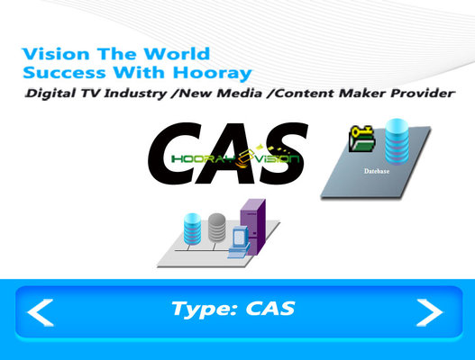 CAS Digital TV Software Conditional Access System 256 AC Index For IPTV OTT Pay