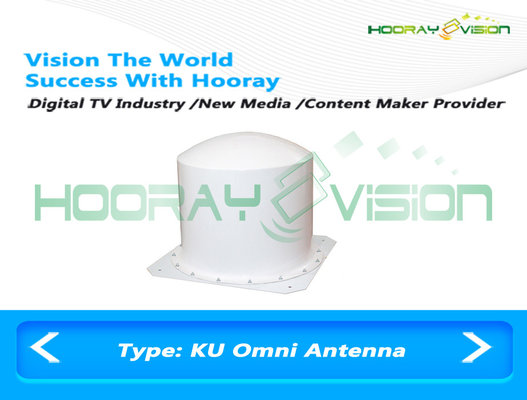 Ku Terrestrial MVDS Omni directional Antenna 10-14 Ghz Coverage Broadband