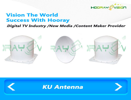 Ku Terrestrial MVDS Omni directional Antenna 10-14 Ghz Coverage Broadband