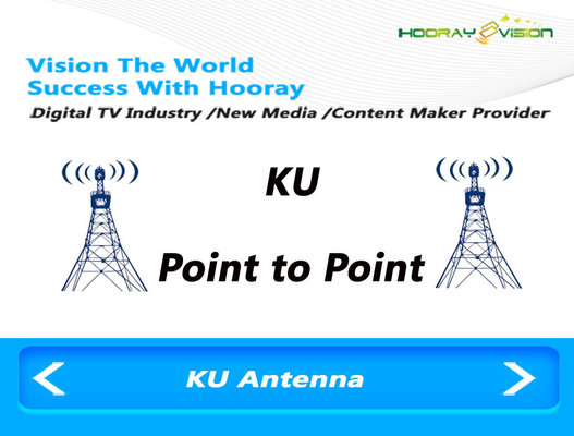 Linear Polarization Ku Band Antenna 20W 35dBi 10-14 GHz Frequency Range