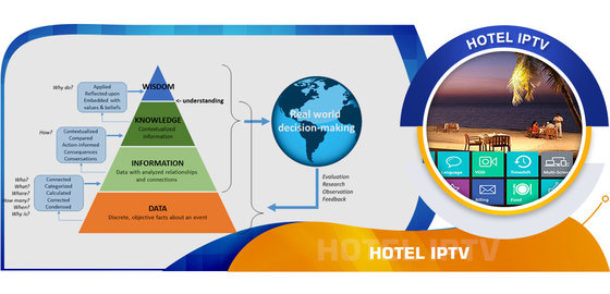 Friendly Interface IPTV Net Solution Live TV VOD for Hotel Hospital Mall level