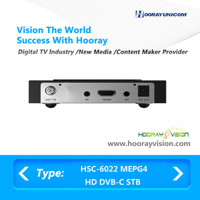 USB Port High Definition Set Top Box Mpeg4 128MB DDR Without Smard Card Reader