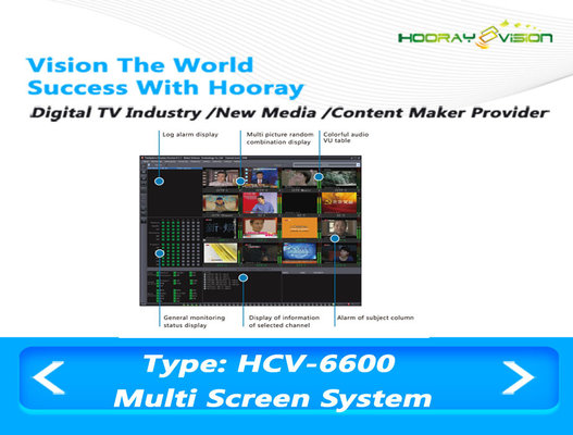 H 264 Mpeg TS Stream Broadcast Source Monitoring System Windows / Linux Operating