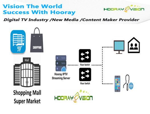 TV VOD Online Purchasing IPTV System Solution MPEG-2/4 H.265 Transport Stream