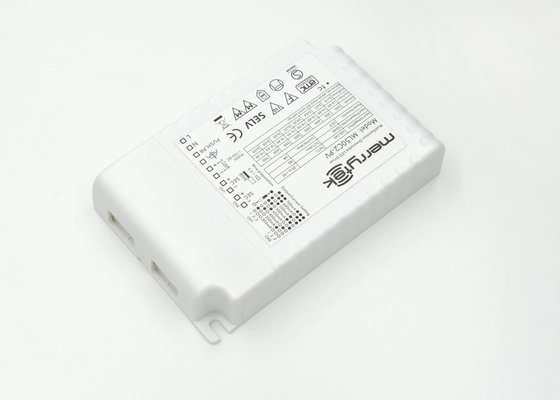 2 x 25W IP20 Dimmable LED Driver 250mA - 700mA For LED Down Light