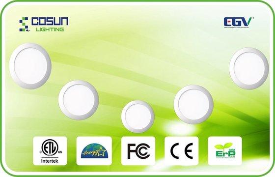 6 inch Energy Saving LED Downlights