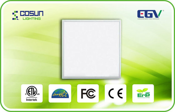 12W Ultra Thin Wall Mounted Dimmable LED Panel Light For Shopping Mall , 50-60HZ 125° Beam Angle