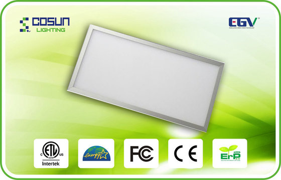 42W 80 Ra 2ft Ultra Thin LED Panel Light / High Brightness LED Flat Panel Light For Shops