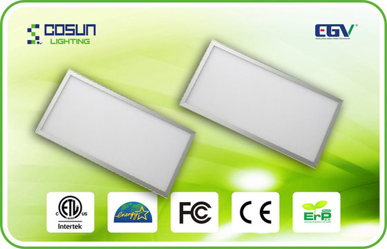 300mm × 600mm 1530LM Energy Saving Ultra Thin LED Panel Light For Gallery , 40000 Life Span