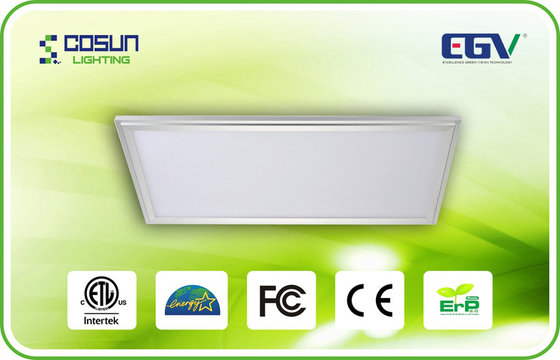 300×1200mm High Efficiency Indoor LED Wall Lights For Hotel , IP50 Square LED Panel Light