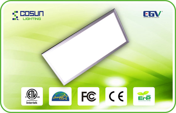 High Efficiency LED Recessed Ceiling Lights / 3500K – 6500K Energy Saving LED 600×1200mm