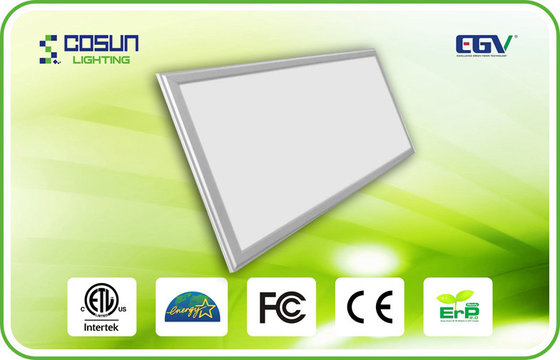 600x1200 Dimmable Led Flush Mount Ceiling Lights For Airport / SMD5730 80Ra