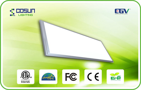 600×1200mm Suspended LED Recessed Ceiling Lights Embedded For Meeting Room