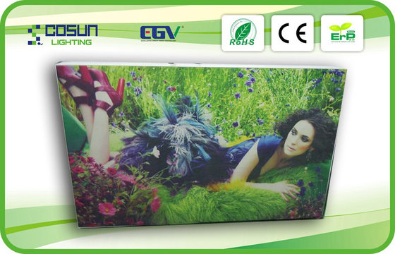 Customized Illuminated Fabric Frameless Light Box For Display / Advertising , 83mm