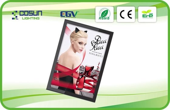 Long Life Span LED Light Box Exceptionally Bright With Laser LGP