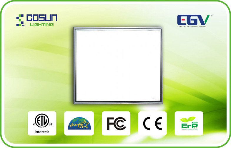 80Ra Commercial Ultra Thin Dimmable LED Panel Light For Home , 12W 300×300mm Ceiling Light For Kitchen