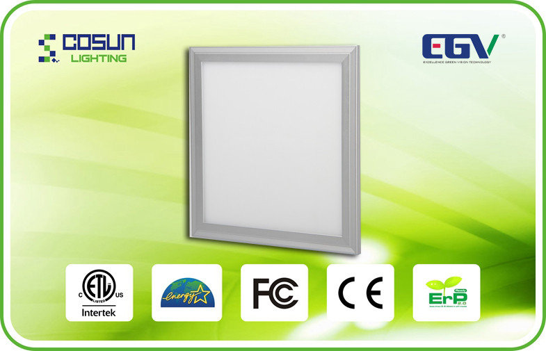 1ft Restaurant Eco-Friendly Dimmable LED Panel Light With CE FCC ERP , SMD3528 3500k - 6500k