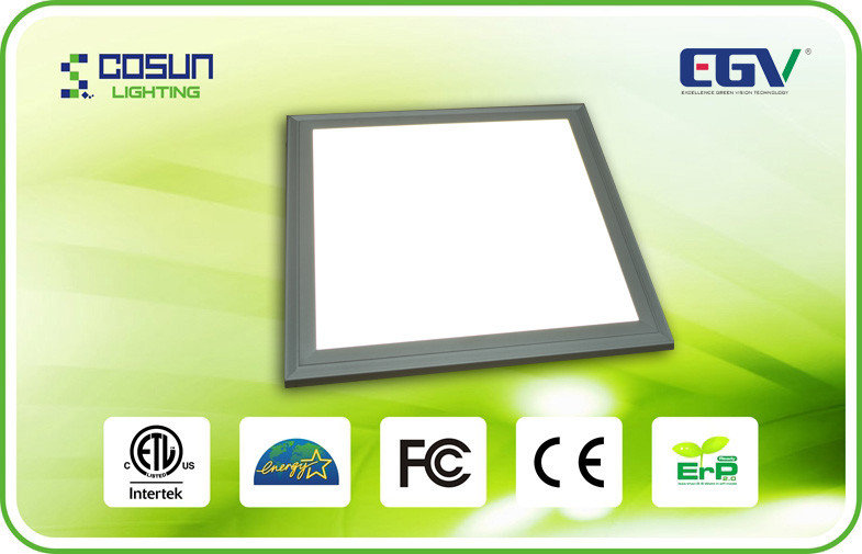 12W 1ft LED Panel Lighting / Dimmable LED Panel With Remote Control , 50HZ - 60HZ SMD3528