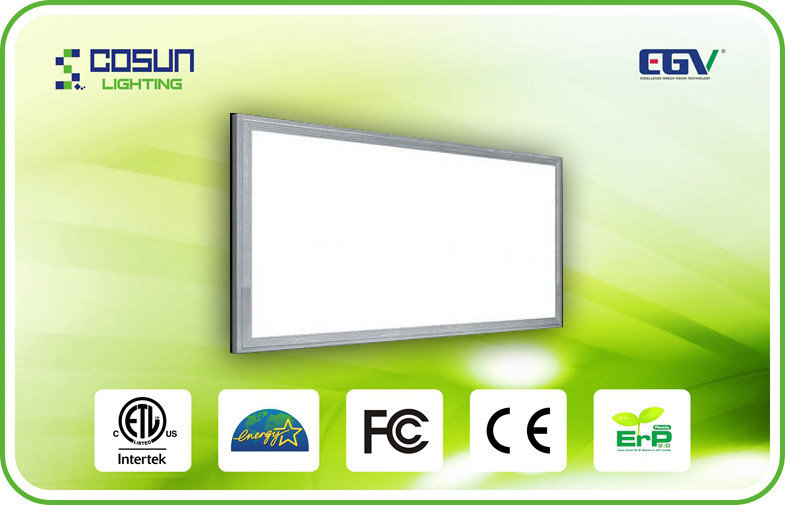 300mm × 600mm Recessed Energy Saving Ultra Thin LED Panel Light For Shops , 12W Ultra Thin LED