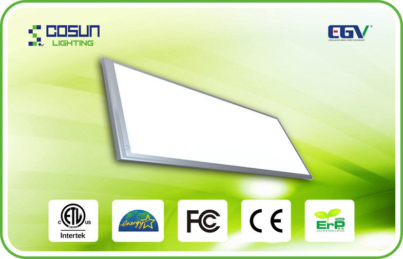 2ft Eco-Friendly Ultra Thin LED Panel Light / 11mm Embedded Thin LED Lights For Home