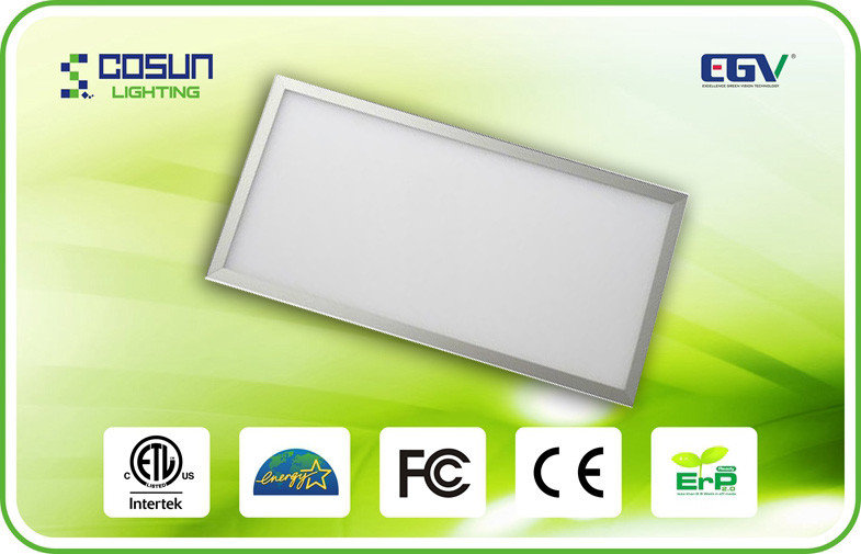 42W 80 Ra 2ft Ultra Thin LED Panel Light / High Brightness LED Flat Panel Light For Shops